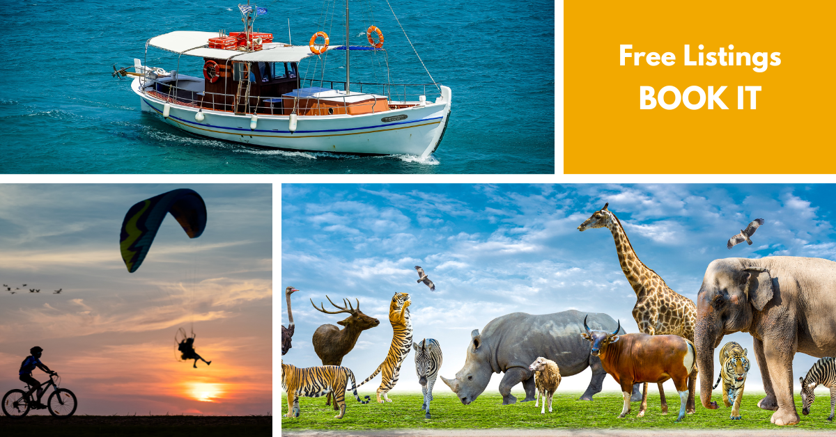 Activities and Experiences Collection | Book It Adventures SA | Activities